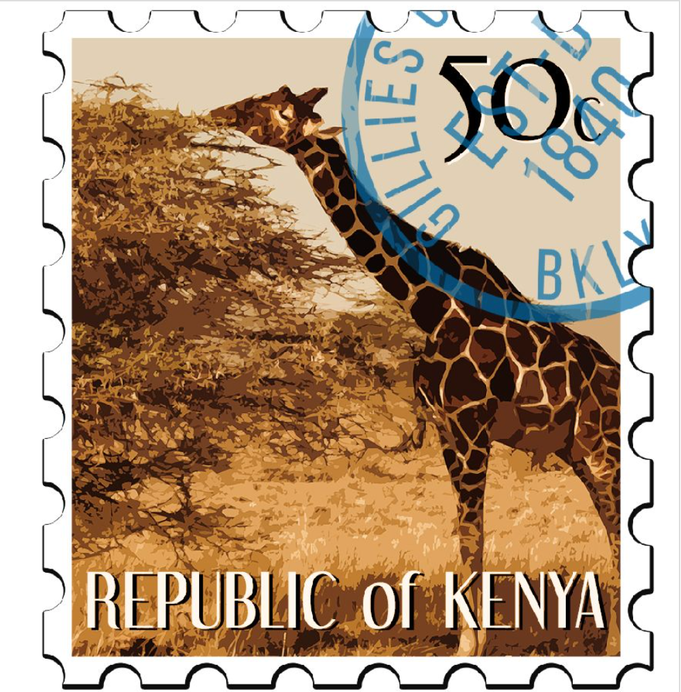 Kenya Fancy Mark – SSC Wholesale